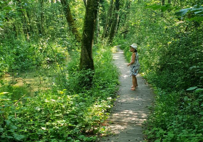 Balades et randonnées - Divonne-les-Bains